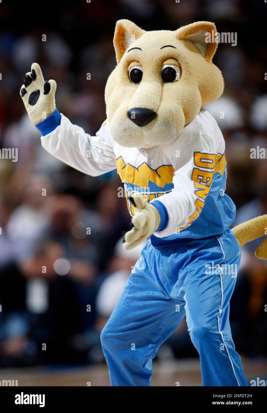 Denver Nuggets mascot Rocky the Mountain Lion entertains fans before ...
