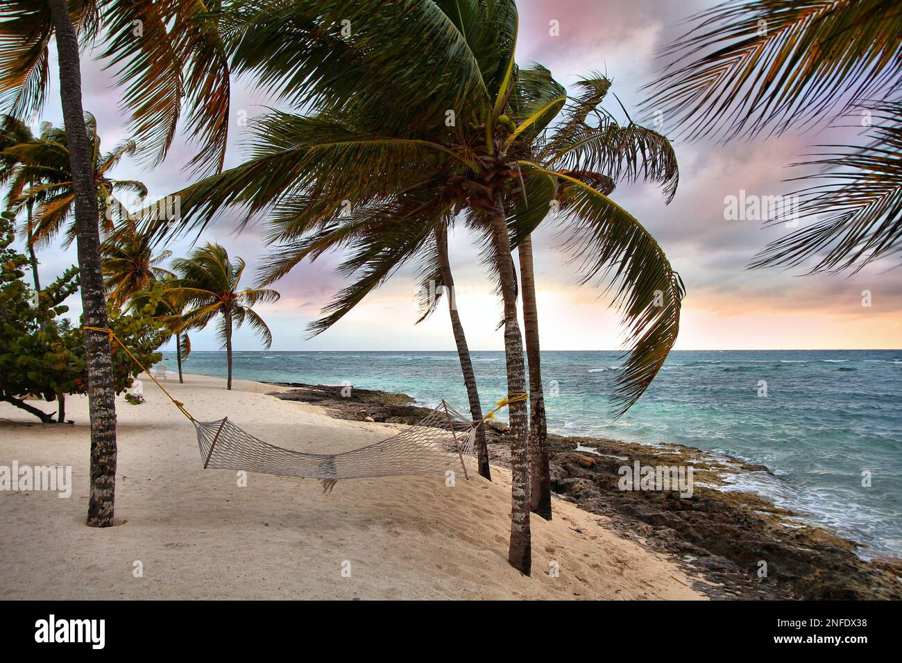 Guardalavaca beach in Holguin Province, Cuba. Palm tree Stock Photo - Alamy