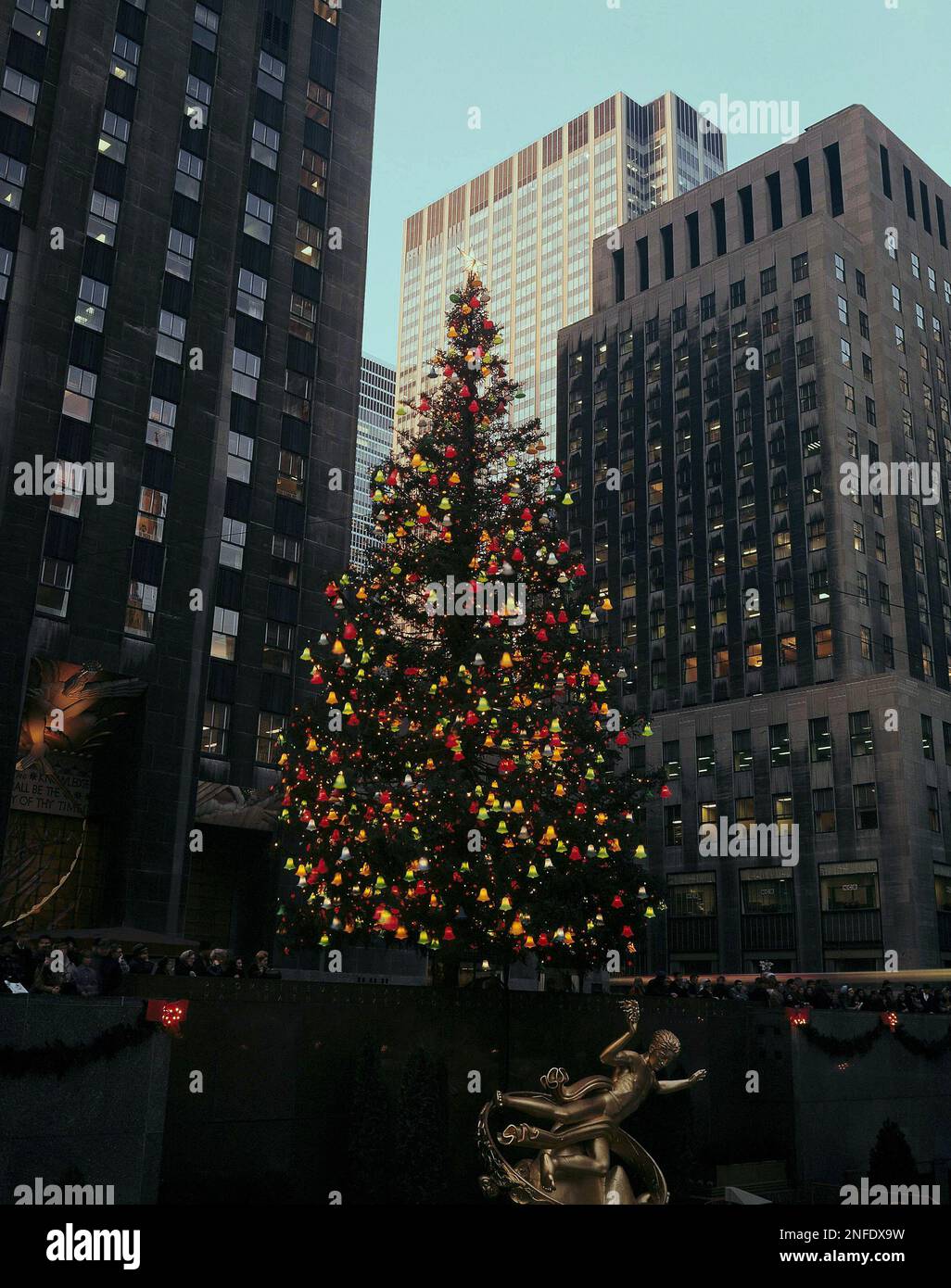 A daytime view of New York's famed Rockefeller Center Christmas tree ...