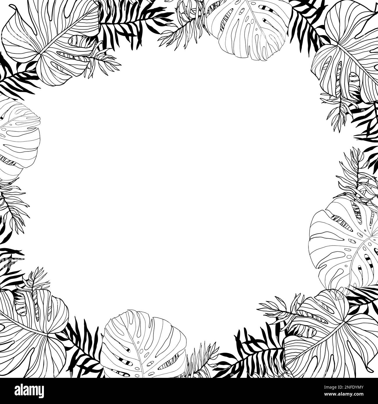 Tropical leaves frame boarder. Monstera and palm leaf, line art vector ...