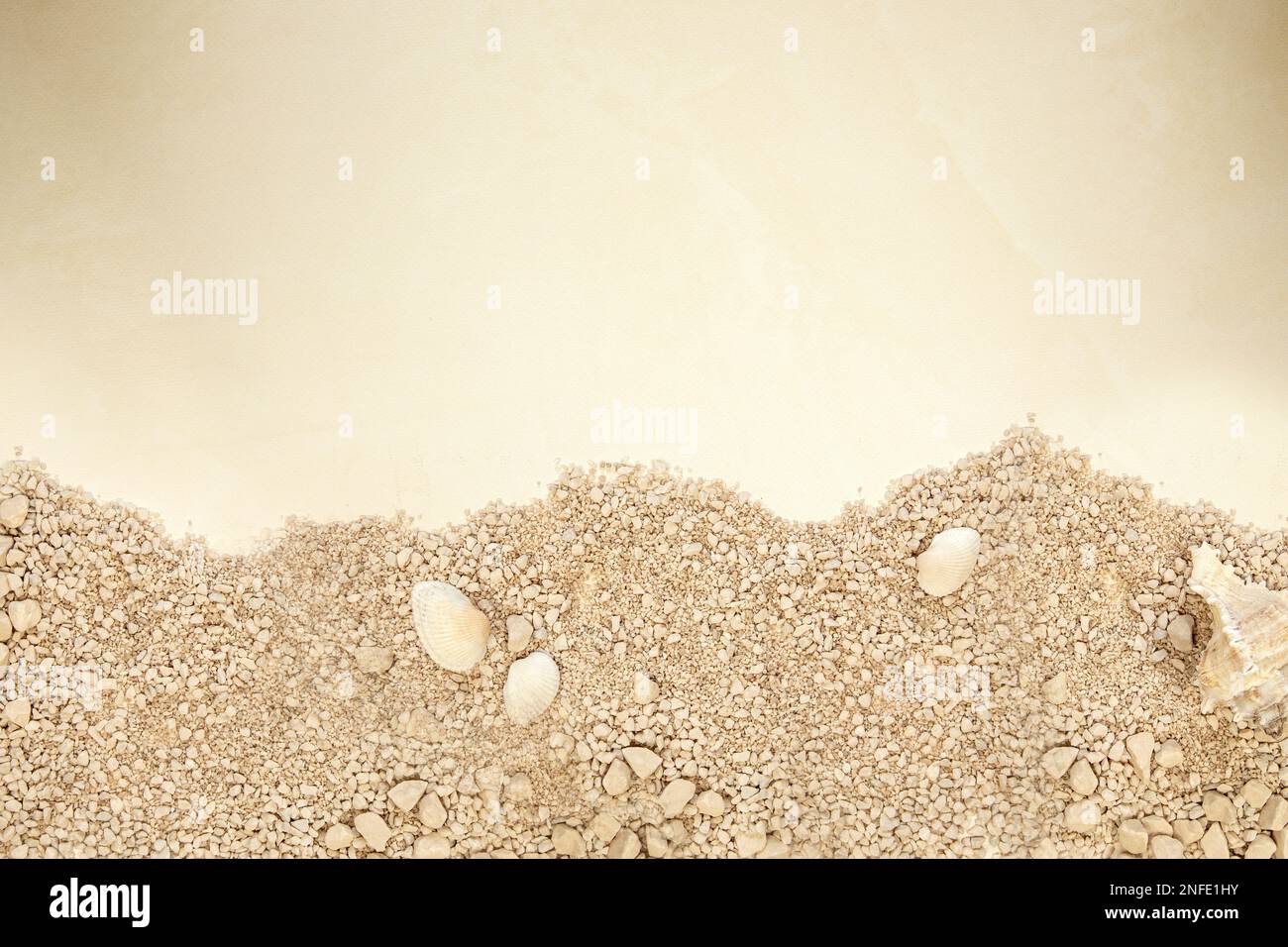 Beach sand texture with sea shells. Sandy beach for background. Top ...