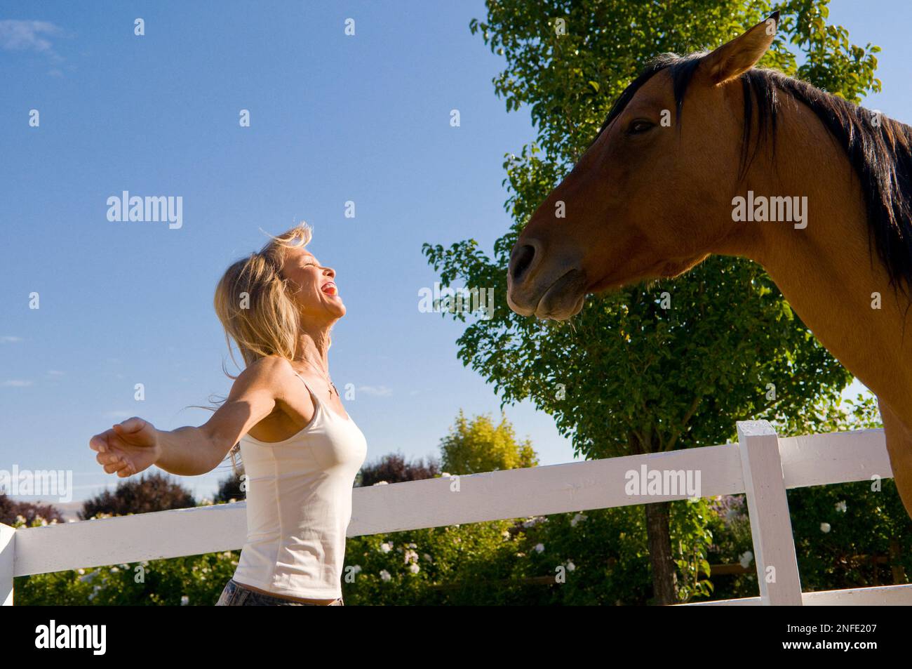 Renee Chambers plays around with her painting horse Cholla at her ranch ...