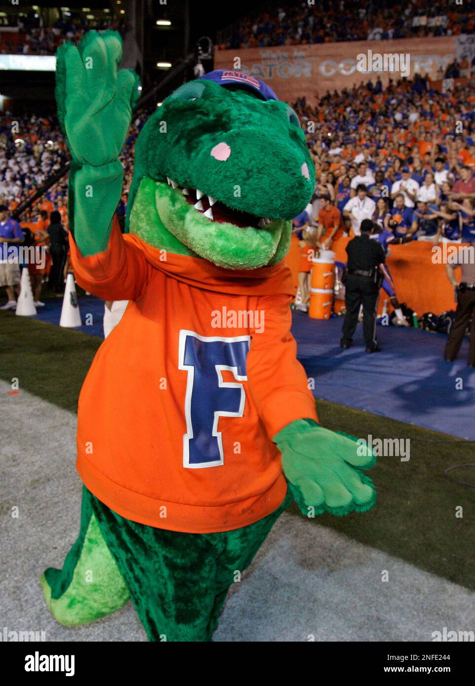 University Of Florida Gainesville Mascot