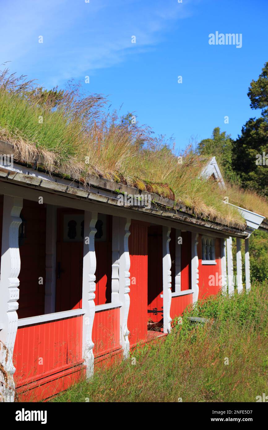 Norway sod roof traditional log cabin. Norwegian traditional ...