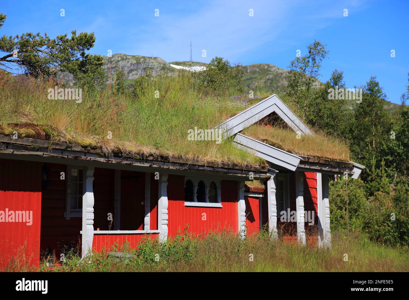Norway sod roof traditional log cabin. Norwegian traditional ...