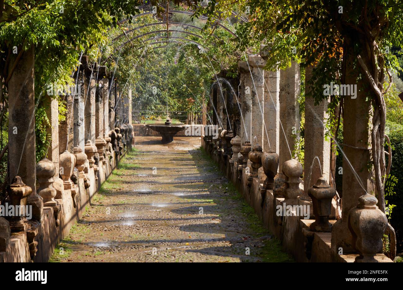A pathway with arch trees ceiling of Jardines de Alfabia garden in ...