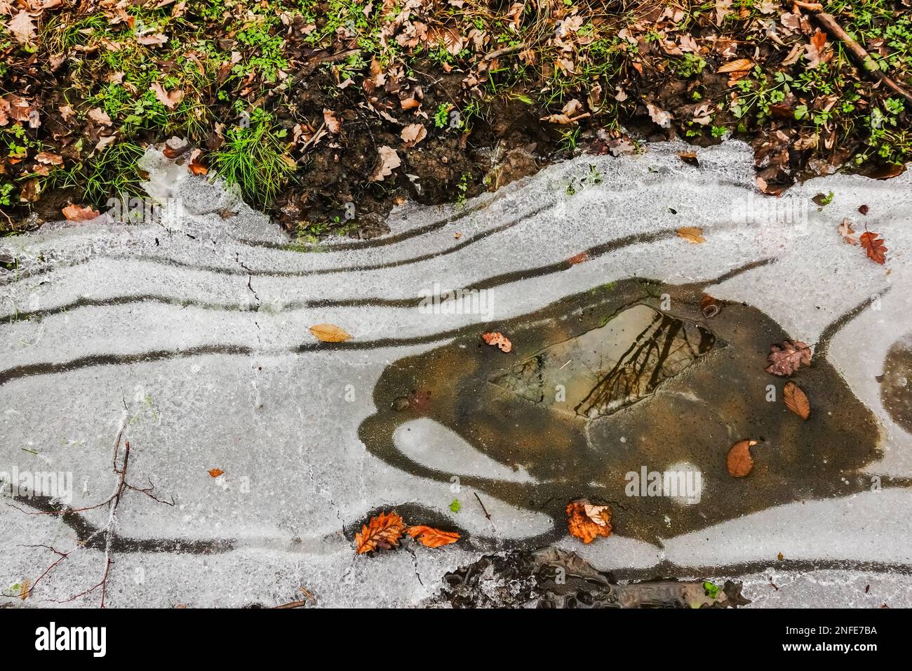 wonderful curved ice shapes in a lake with forest ground in the winter ...