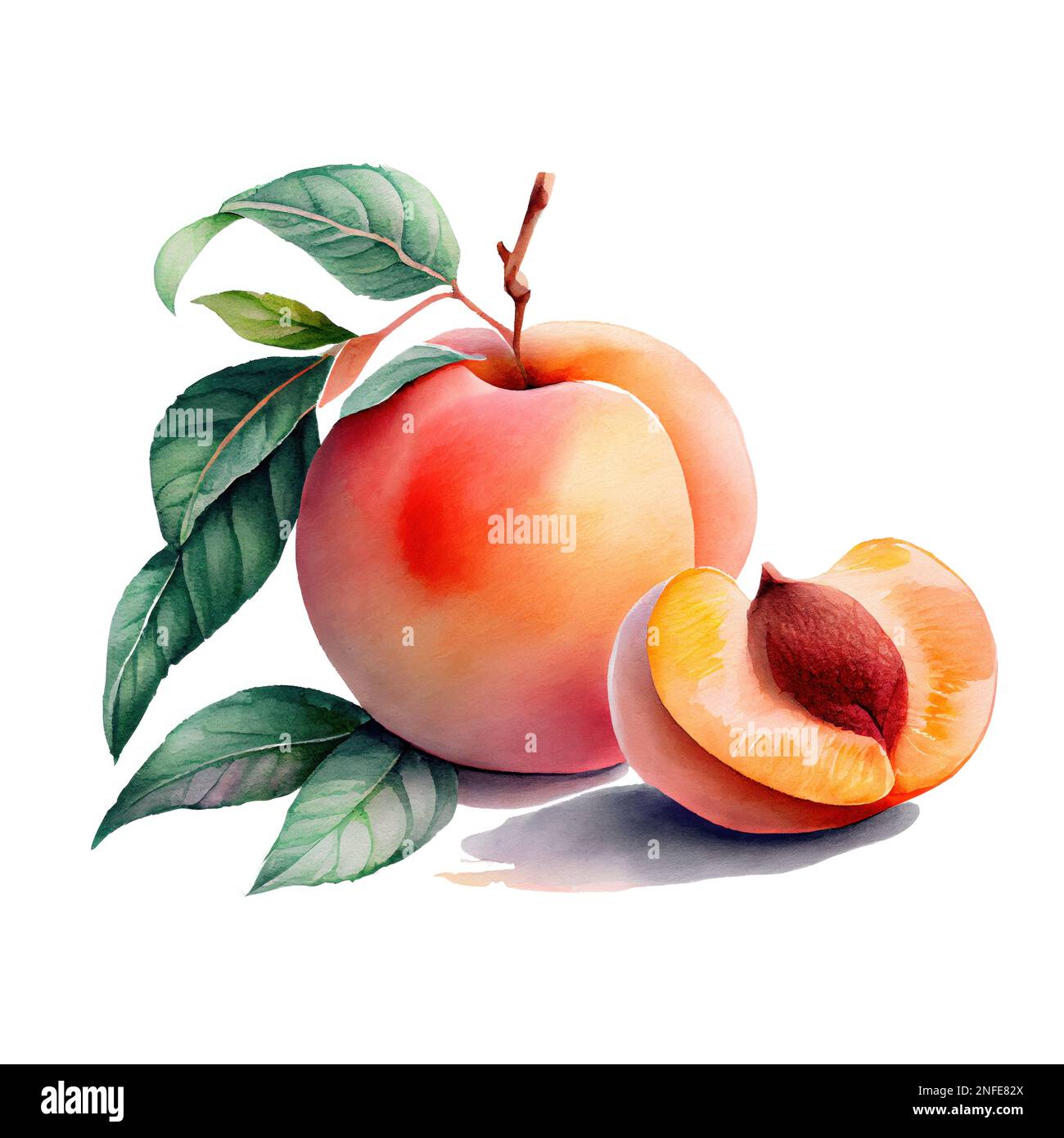 Watercolor peach color hi-res stock photography and images - Alamy