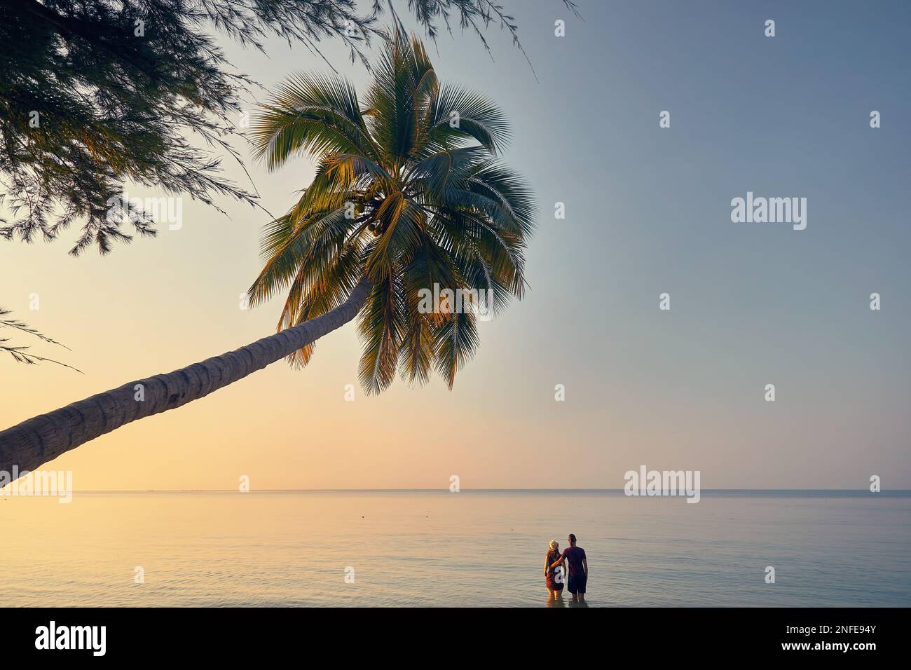Happy hugging couple in water on the tropical beach near palm tree of ...