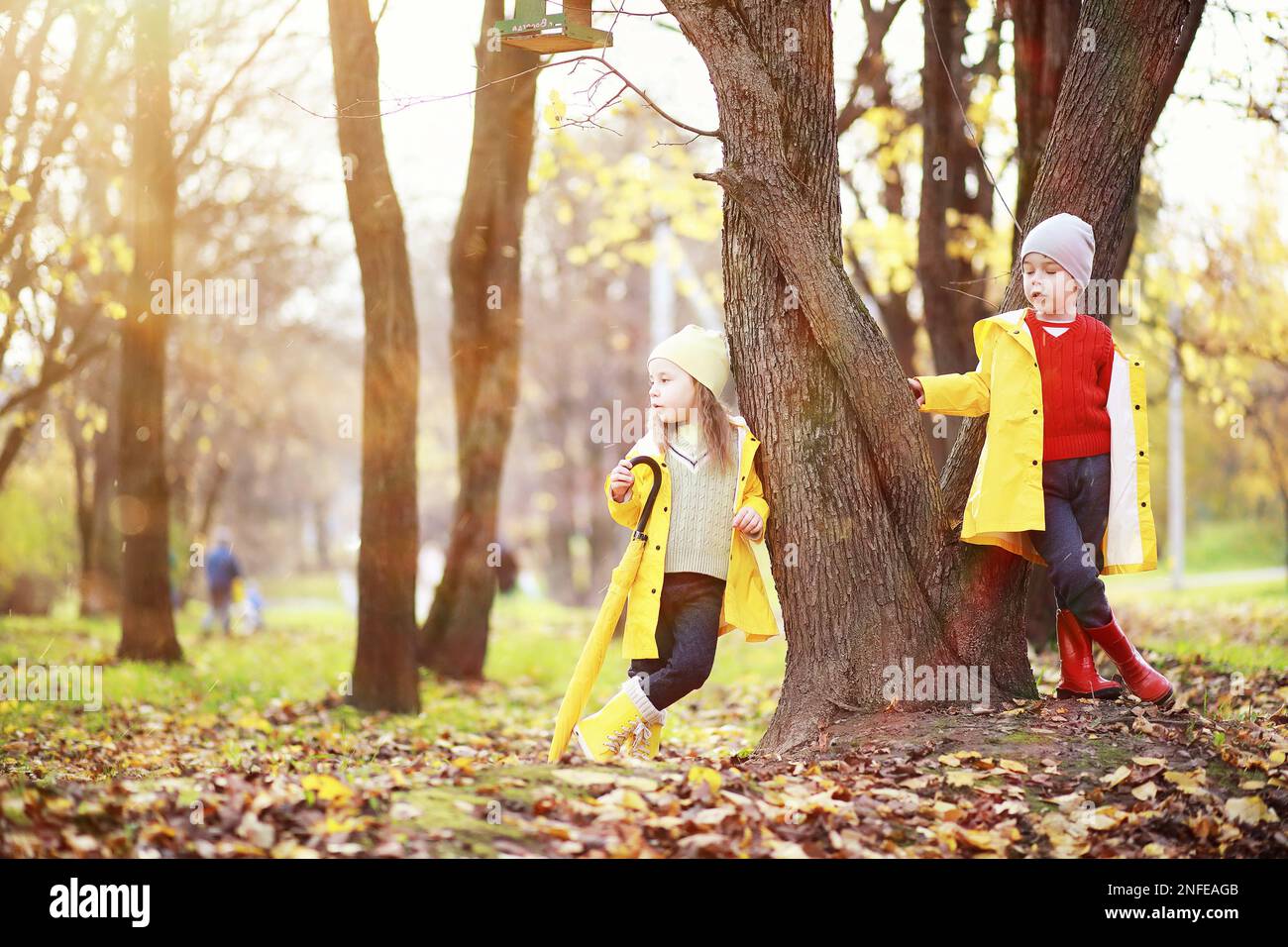 Children walk in the autumn park in the fall Stock Photo - Alamy