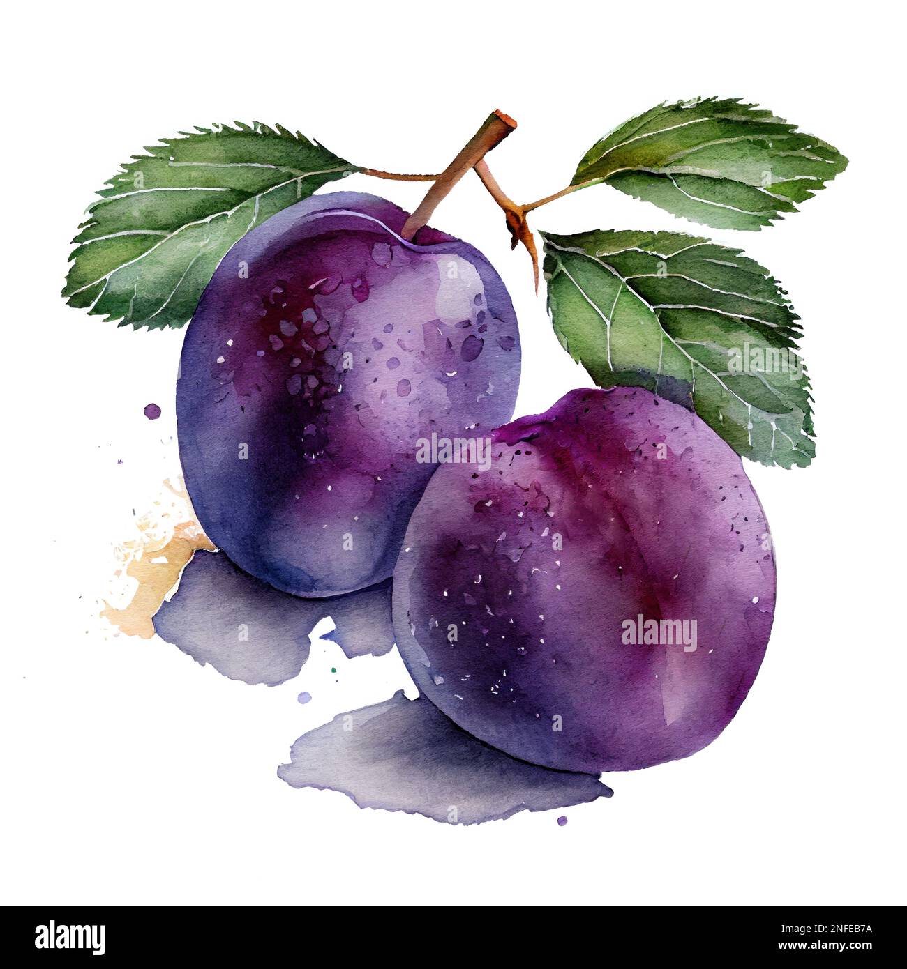 Split fruit illustration Cut Out Stock Images & Pictures - Alamy