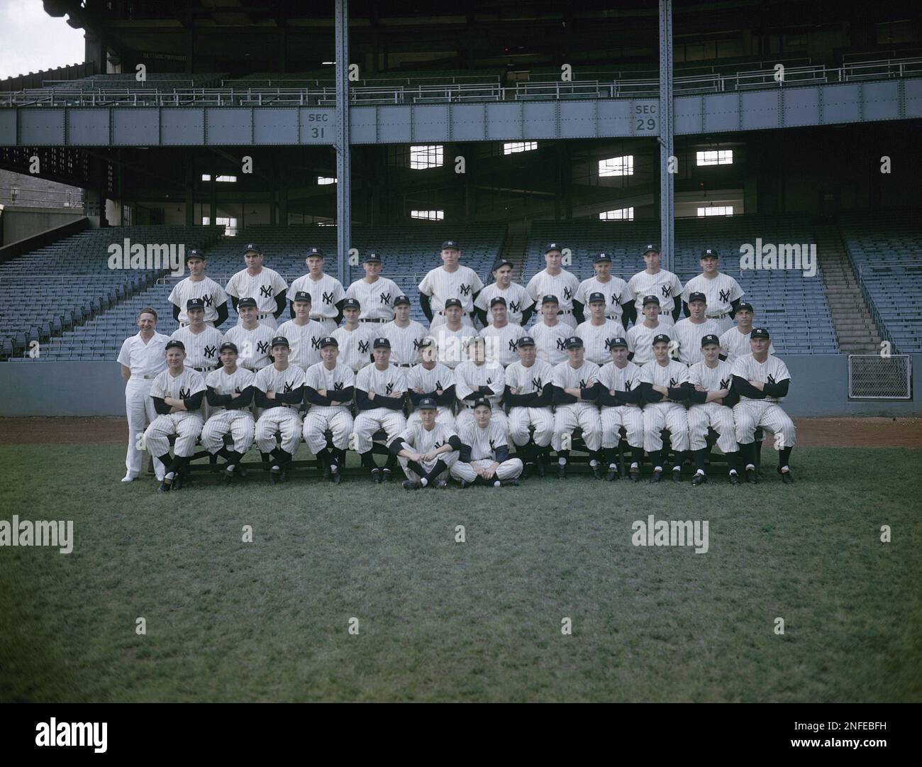 The New York Yankees pose for a team photo, 1950. (AP Photo Stock Photo ...