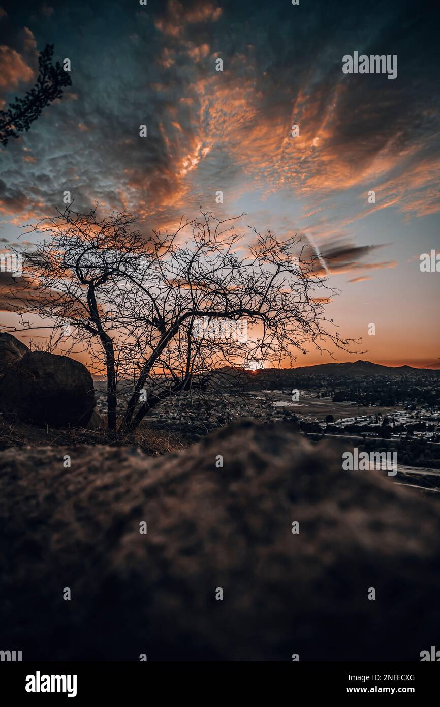 Edge withered hi-res stock photography and images - Alamy