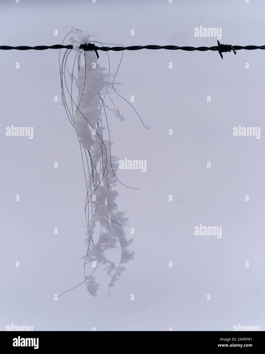 A closeup view of lines in the ice snow Stock Photo - Alamy