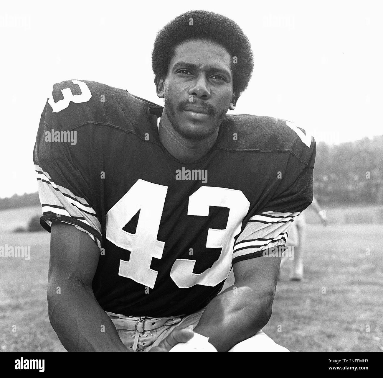 Wide receiver Frank Lewis (43) of the Pittsburgh Steelers is pictured ...