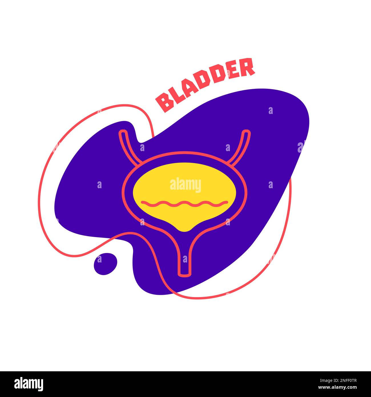 Bladder urinary system body organ outline icon Stock Vector Image & Art ...