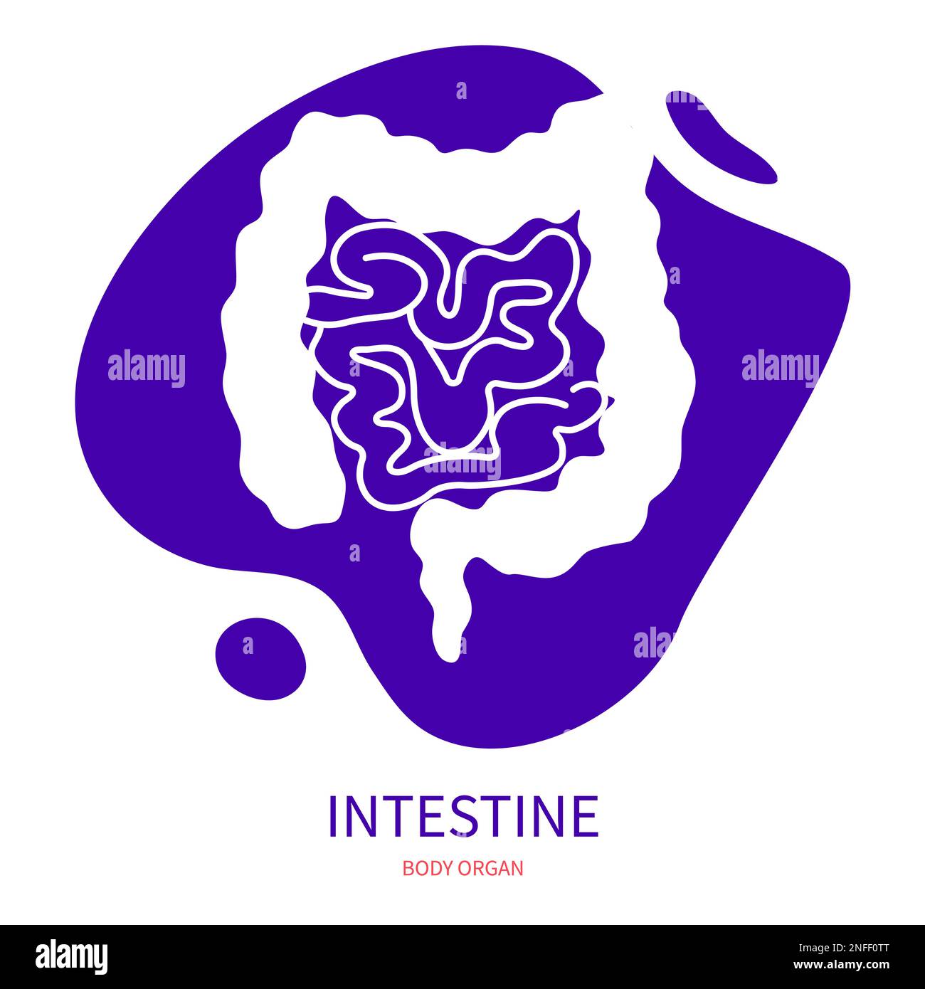Human intestine body organ silhouette pictogram icon Stock Vector Image ...