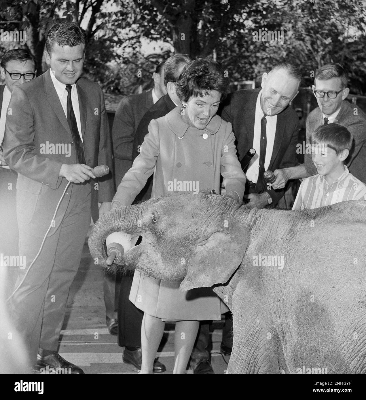 Ronald "Skipper" Reagan, 9, right is quite amused as his mother, Nancy ...