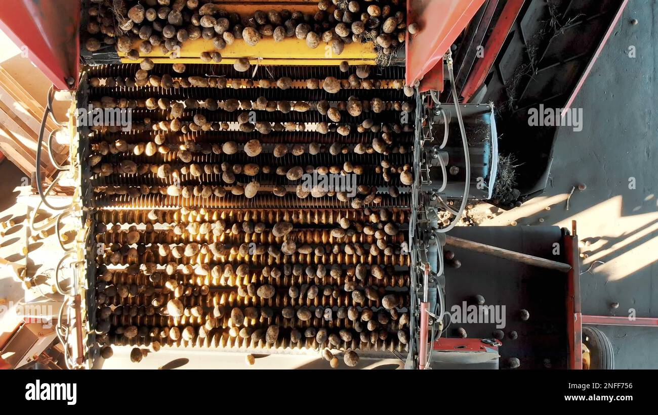 top view. special mechanized process of Potato sorting at farm ... top view. special mechanized process of Potato sorting at farm ...