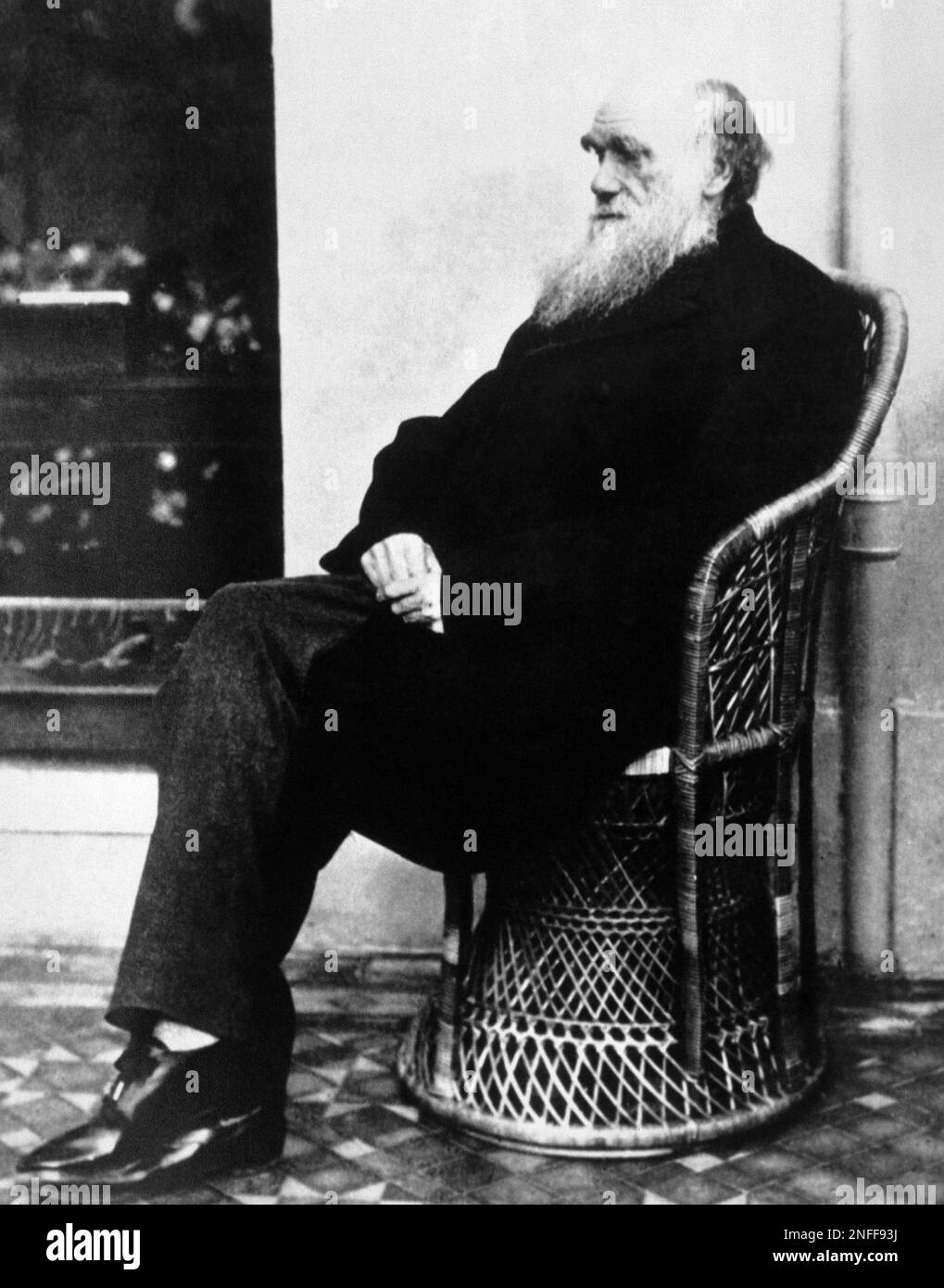 Charles Darwin, as he appeared in 1875, hardly seemed a revolutionary ...