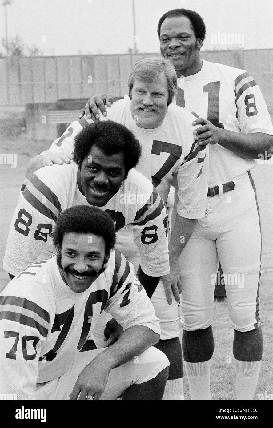 From bottom, Jim Marshal, Alan Page, Gray Larsen and Carl Eller ...