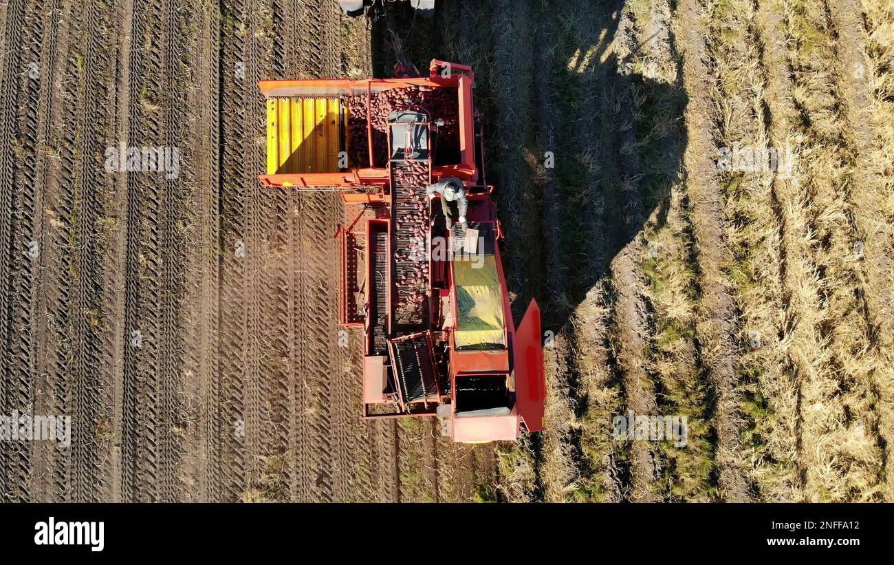 Red colored potato harvester digs hi-res stock photography and images ...
