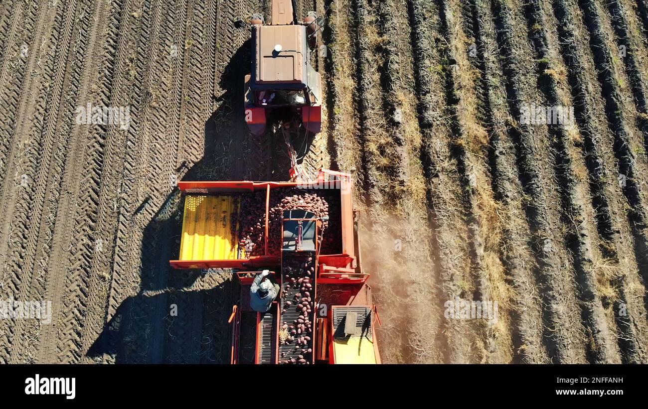 Red colored potato harvester digs hi-res stock photography and images ...