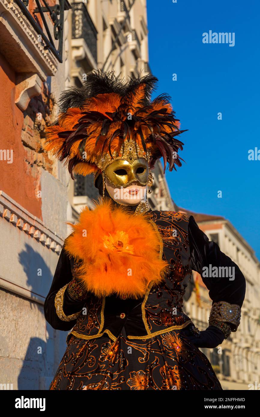 Carnival goer dressed in splendid costume and mask during Venice ...