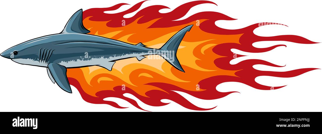 Shark, Abstract Flame Furious Marine Predator vector illustration Stock ...