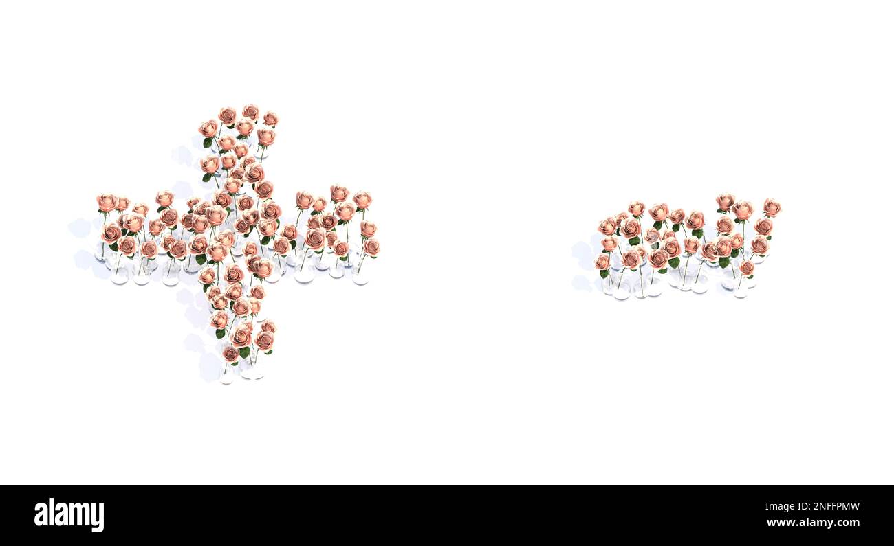 Concept or conceptual set of beautiful blooming pink, roses bouquets ...