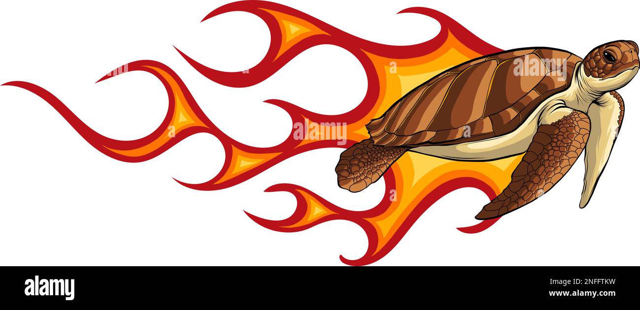 Fast turtles in flame set. Funny racing tortoise cartoon vector ...