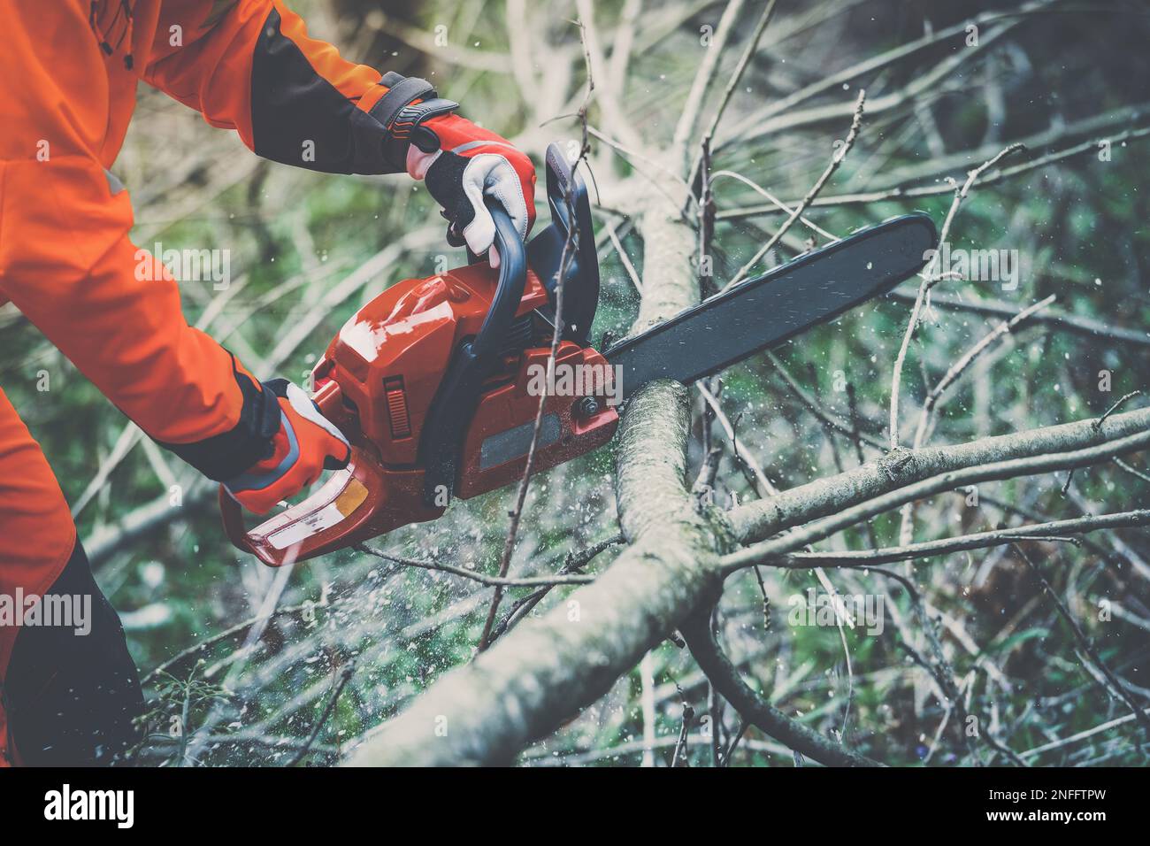 Forestry clearing saws hi-res stock photography and images - Alamy