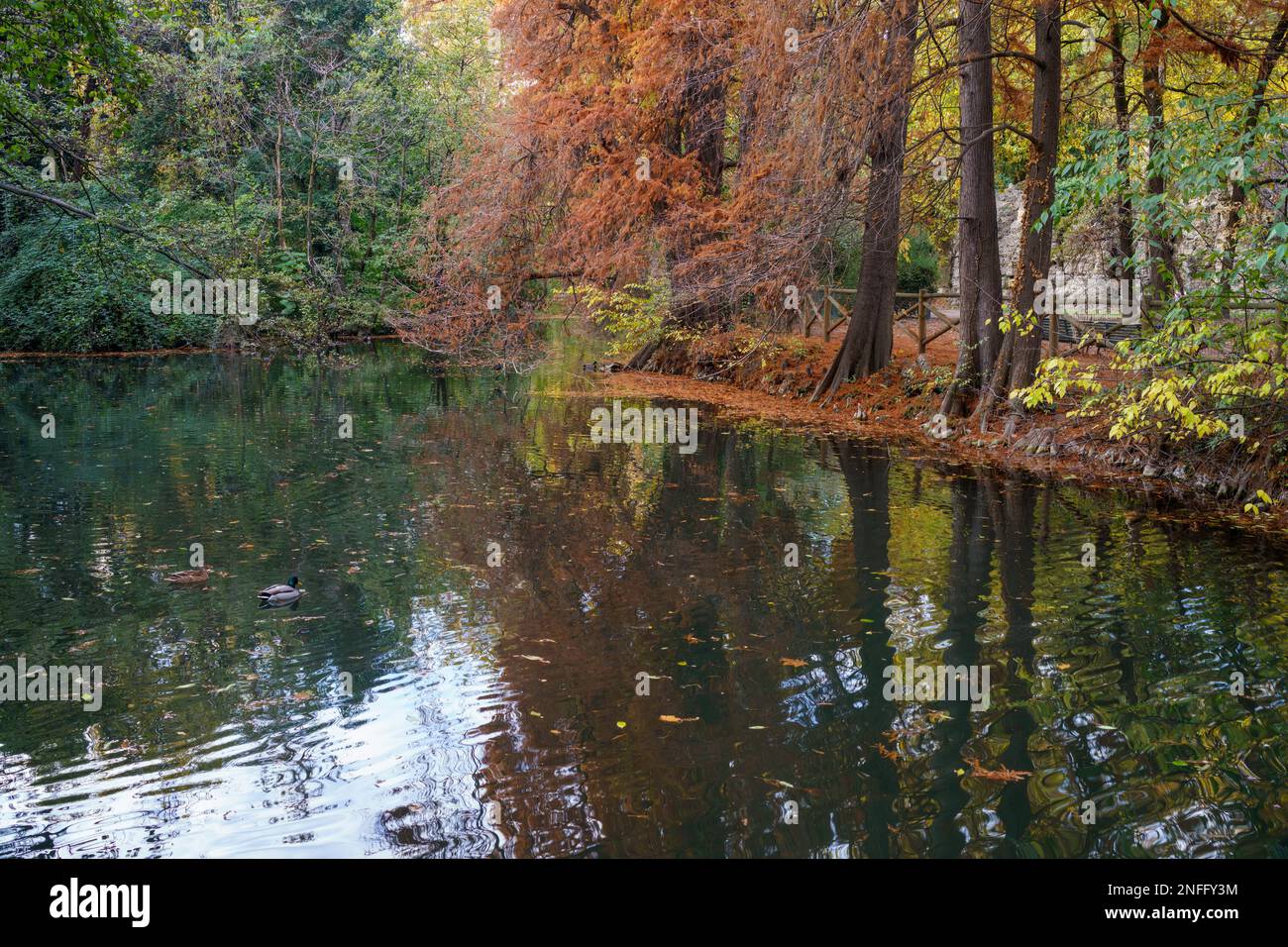 Autumn in the Montanelli park at Milan, Lombardy, Italy Stock Photo - Alamy