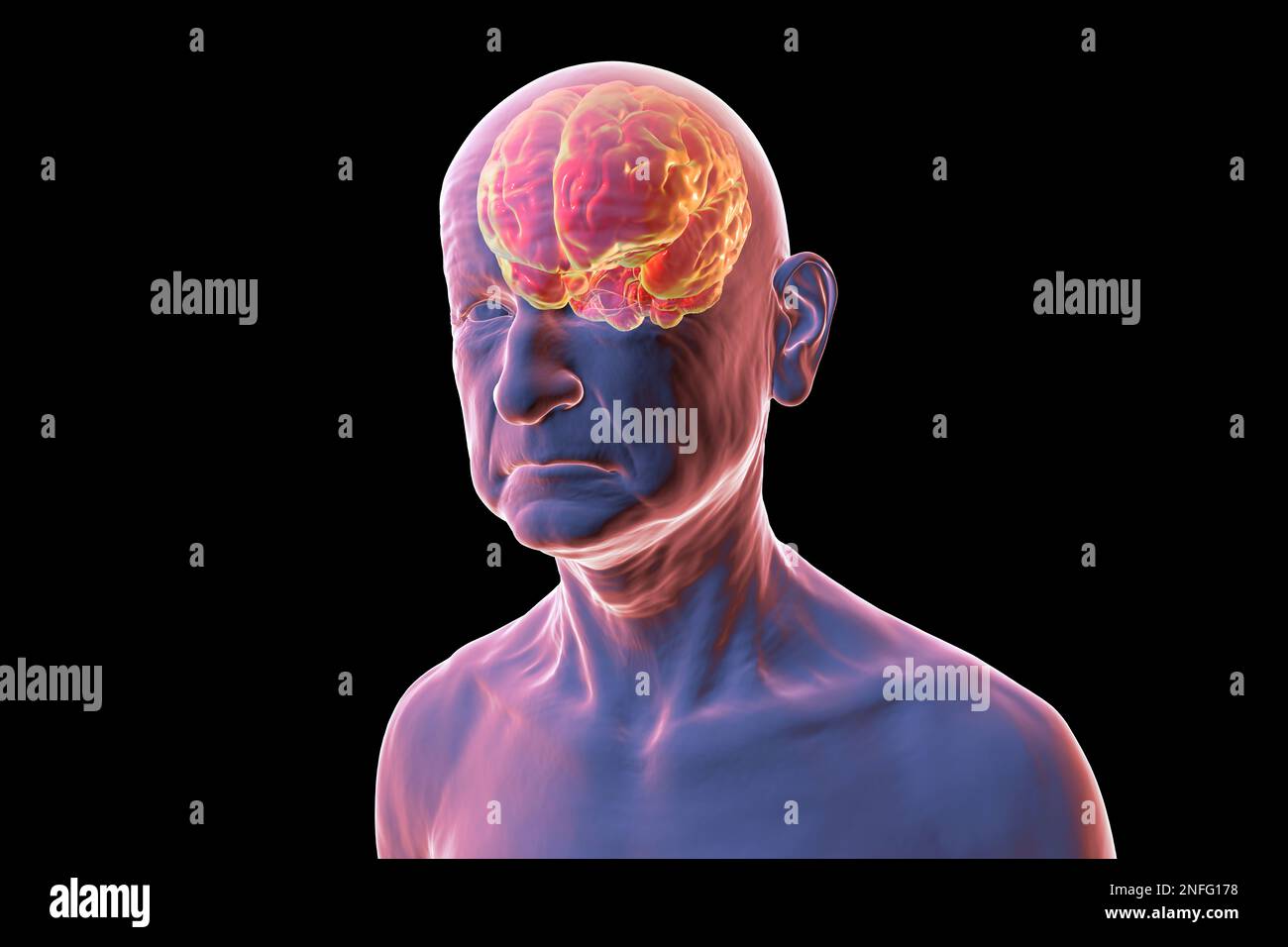 Multiple intelligence human brain hi-res stock photography and images ...