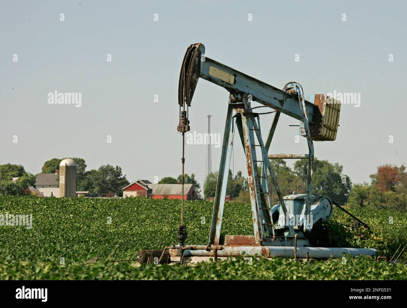 An oil well pump operates in the middle of a soybean field in rural ...