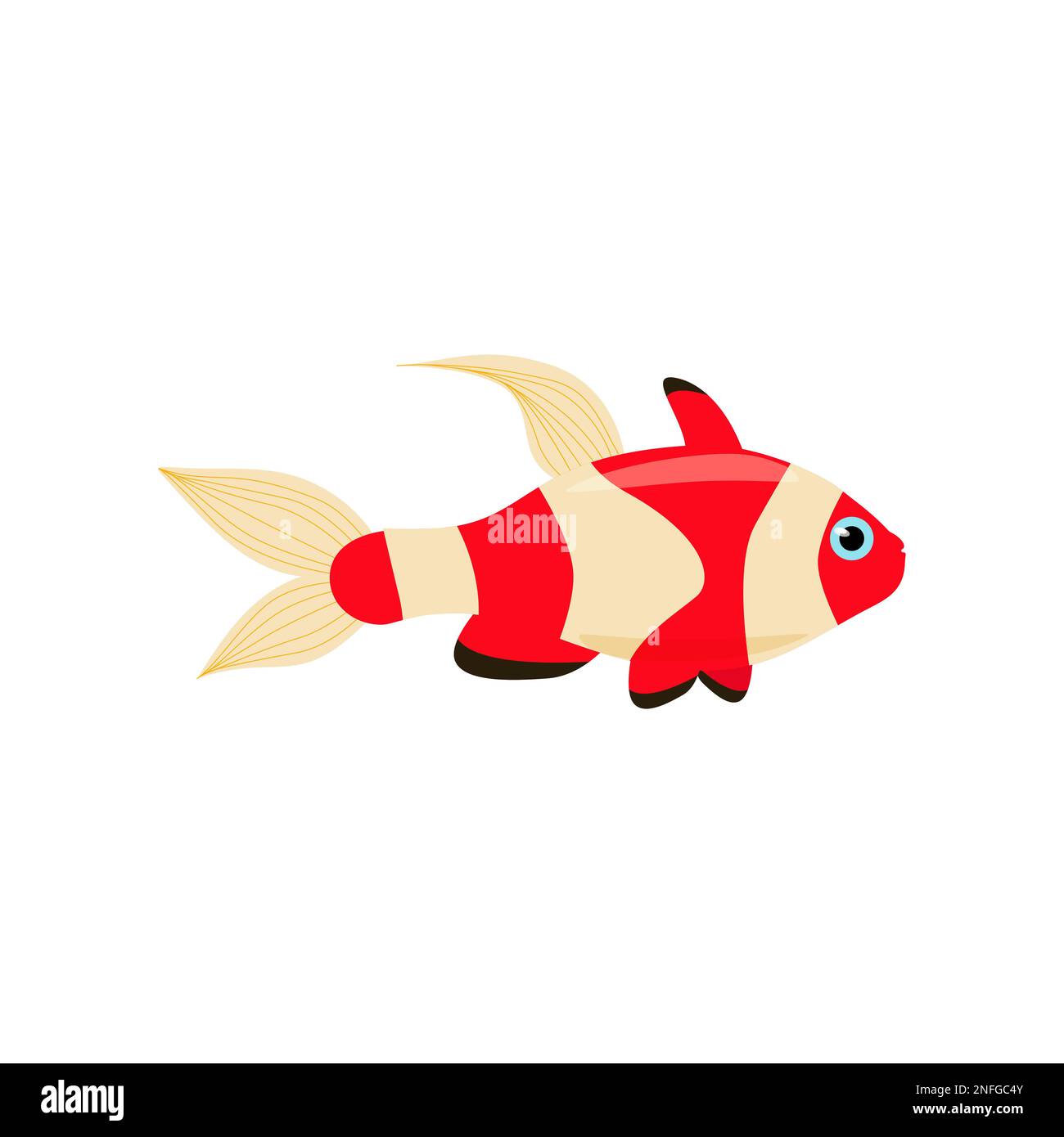 Decorative sea fish red with beige stripes. Vector marine fish isolated ...