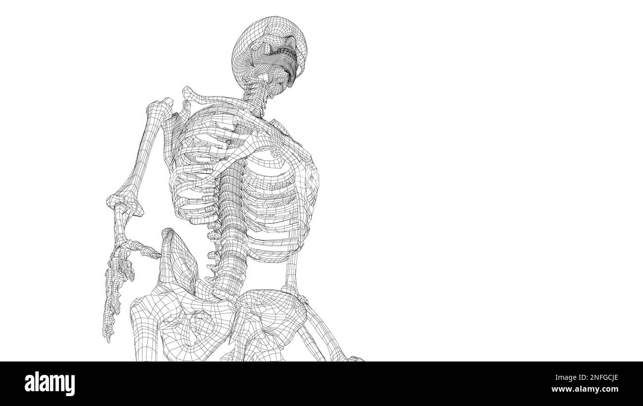 Human skeleton. 3d illustration Stock Photo - Alamy