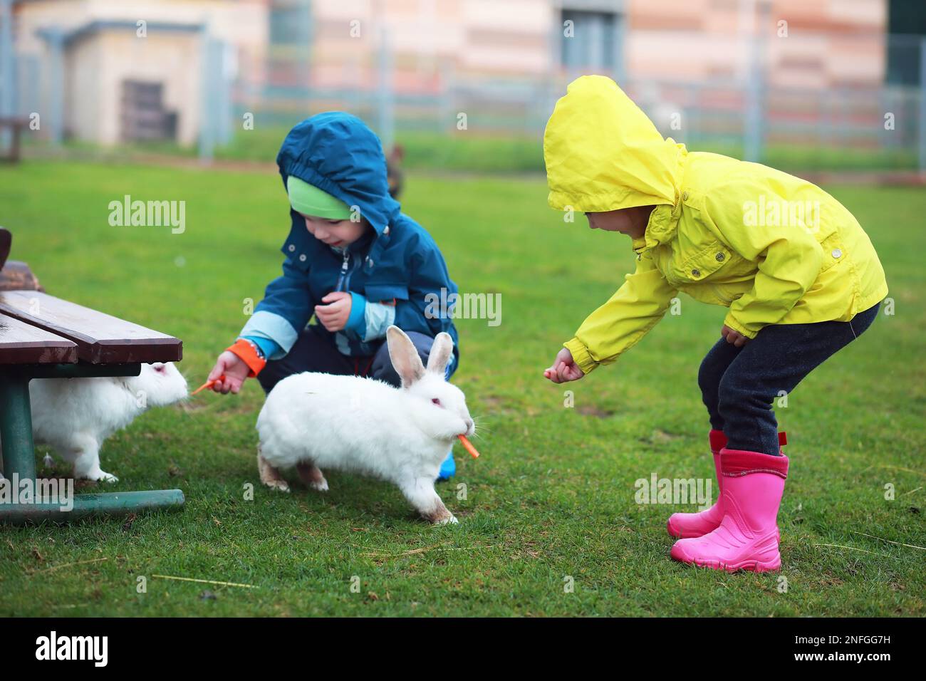 Two little kids, boy and girl, watch monkey show in the zoo on a cold ...