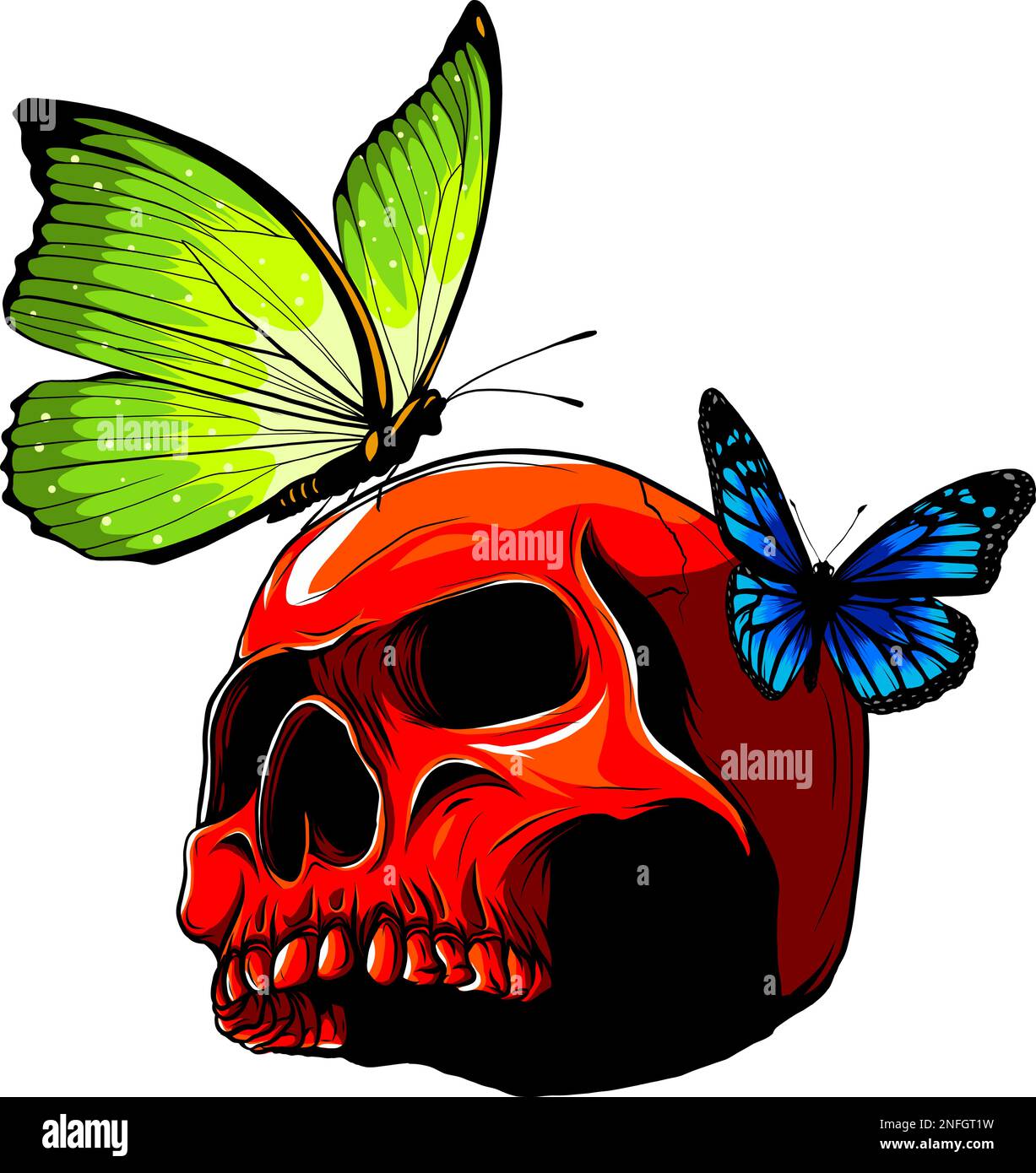 colored Skull with butterflys. Vector illustration Stock Vector Image ...