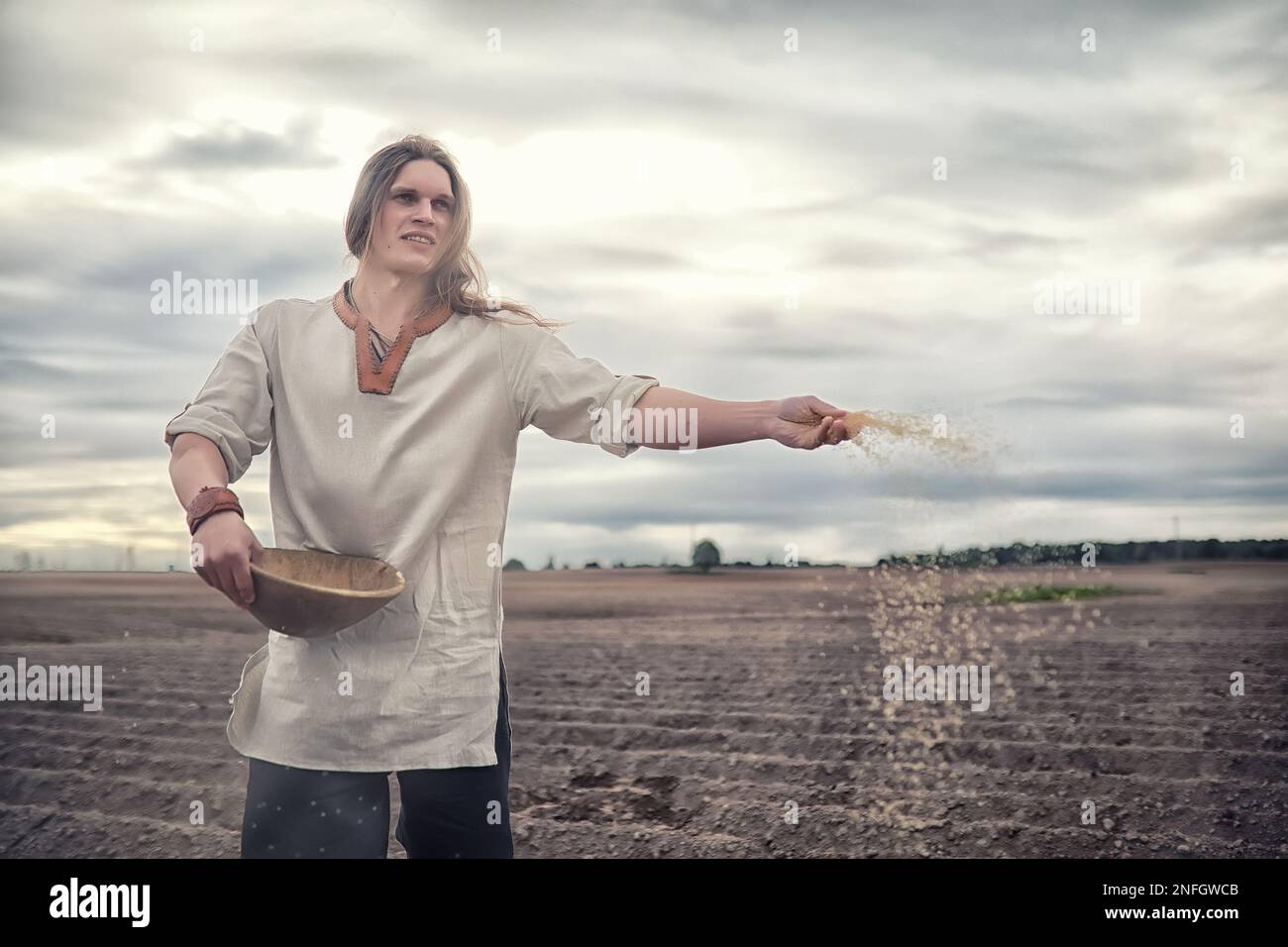 A young peasant of the Scandinavian appearance sows the field with ...