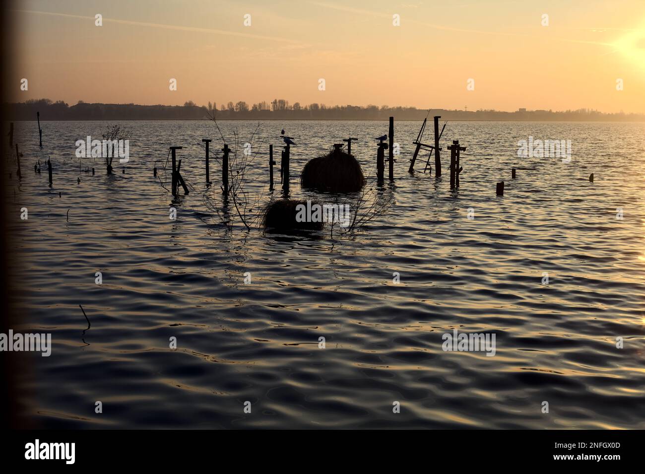 Lake at sunset with the opposite shore on the horizon Stock Photo - Alamy