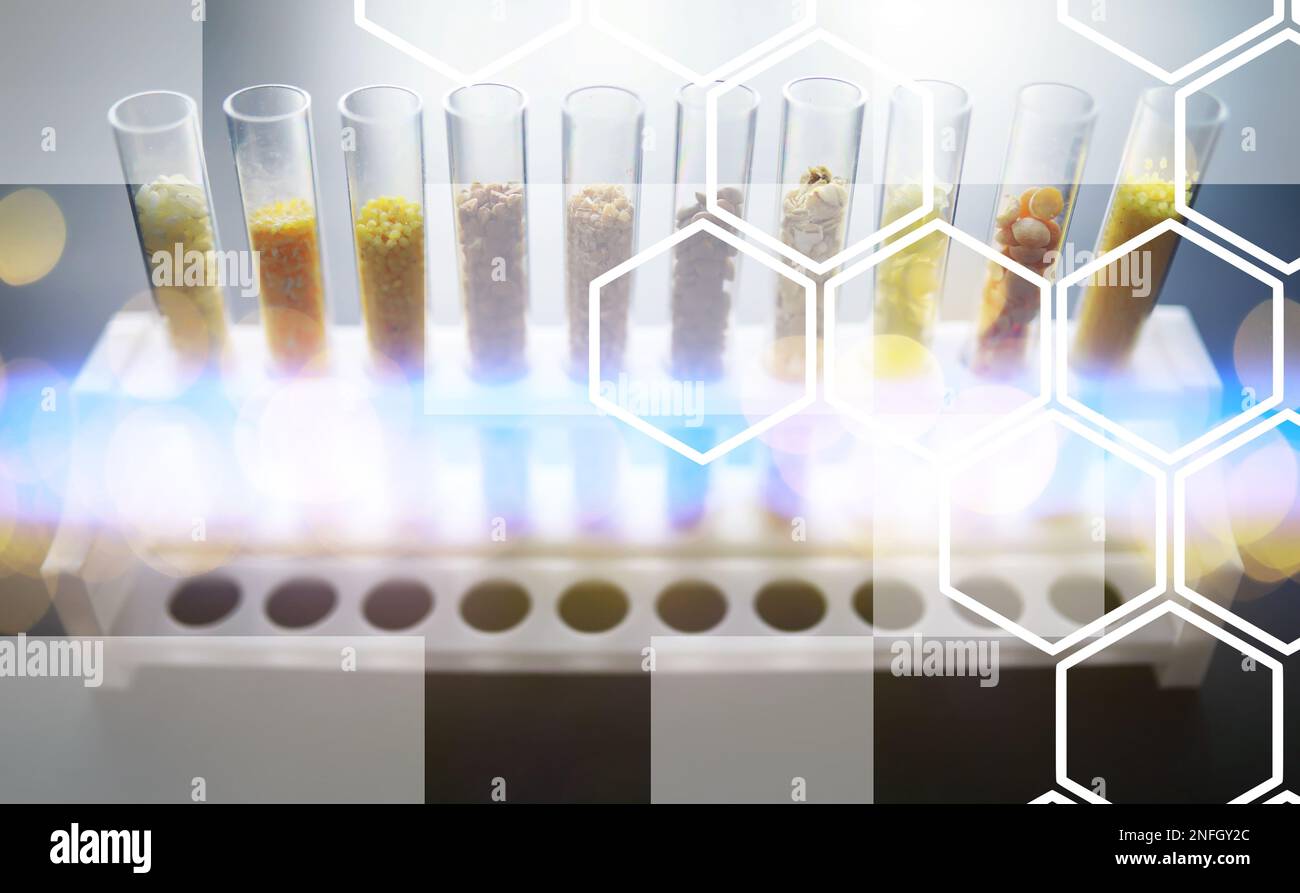 Test tubes with seeds of selection plants. Research Analyzing ...