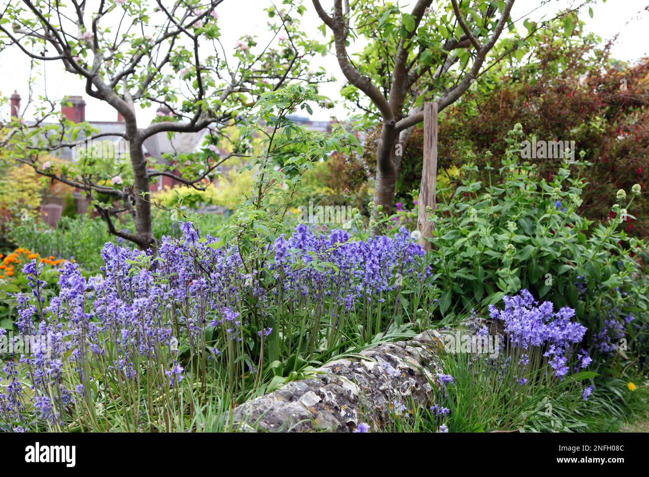 Colorful allotment plots filled with colorful spring flowers Stock ...