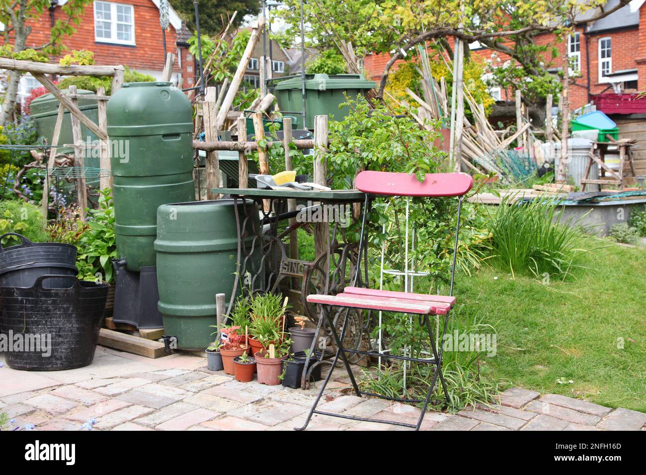 Colorful allotment plots filled with colorful spring flowers Stock ...