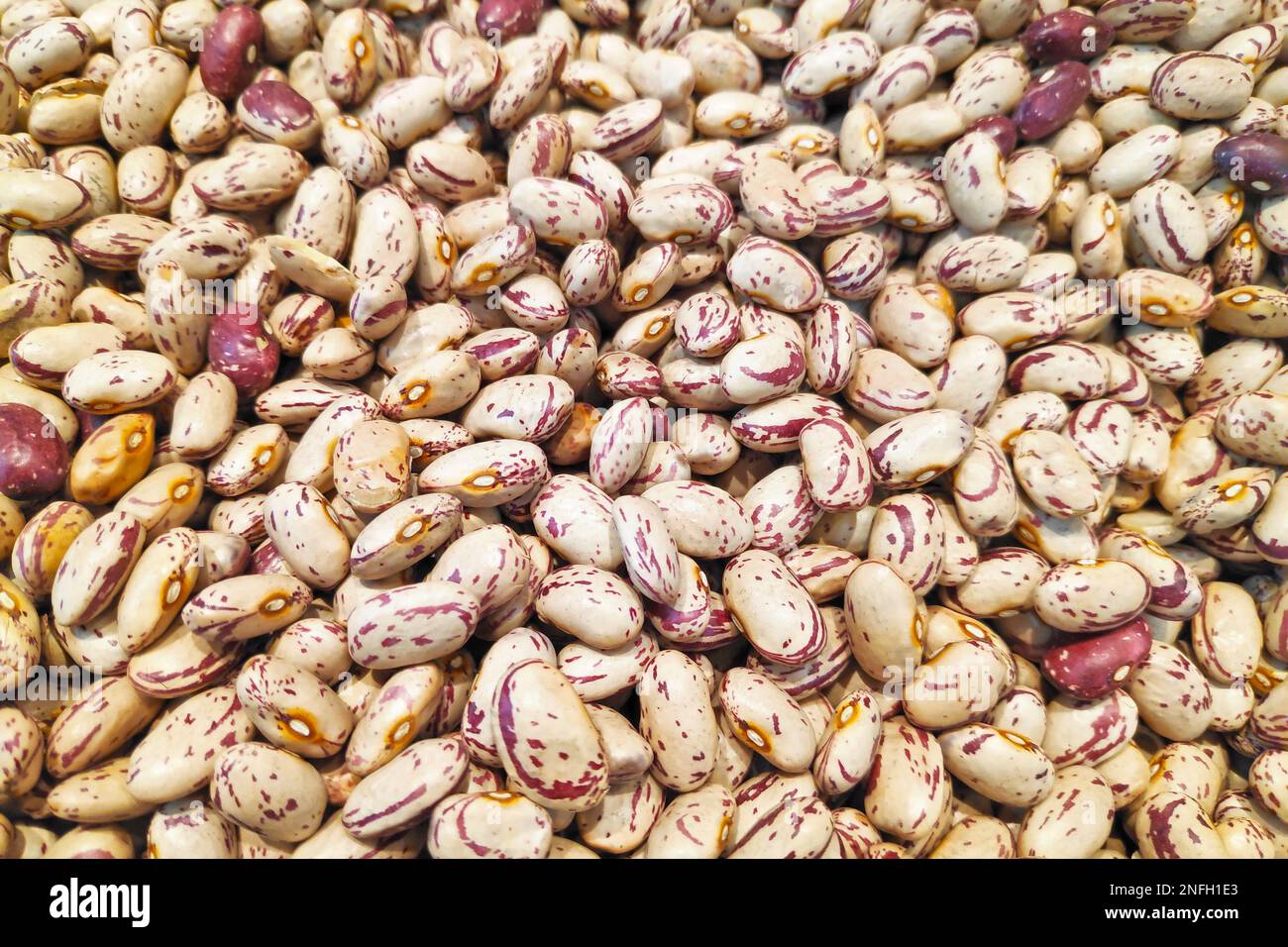 Full frame close-up on a stack of cranberry beans on a market stall ...