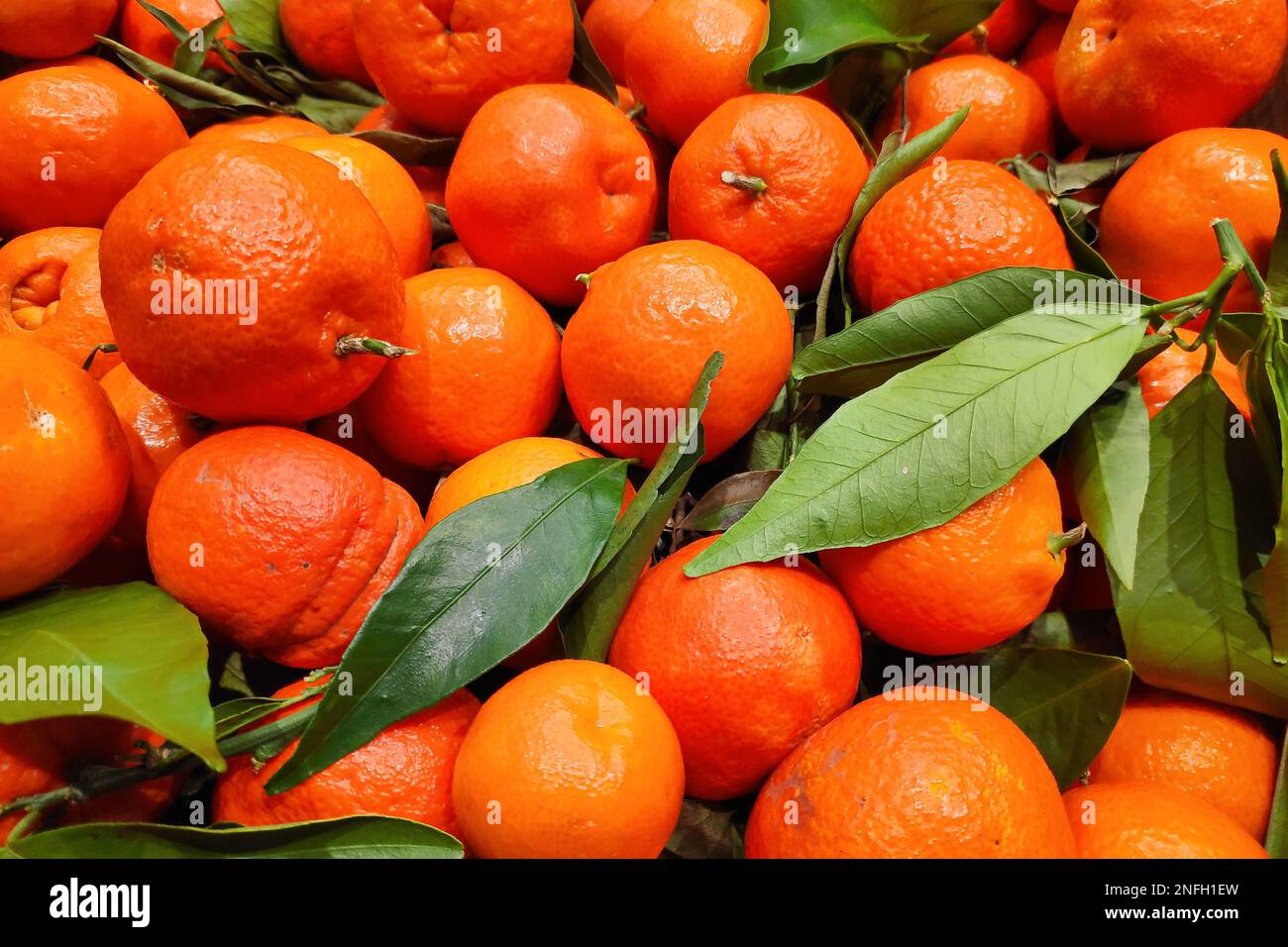 Close-up on a stack of clementines on a market stall Stock Photo - Alamy