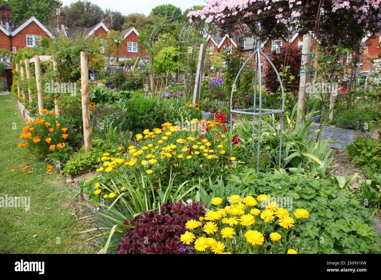 Quintessential spring flowers hi-res stock photography and images - Alamy