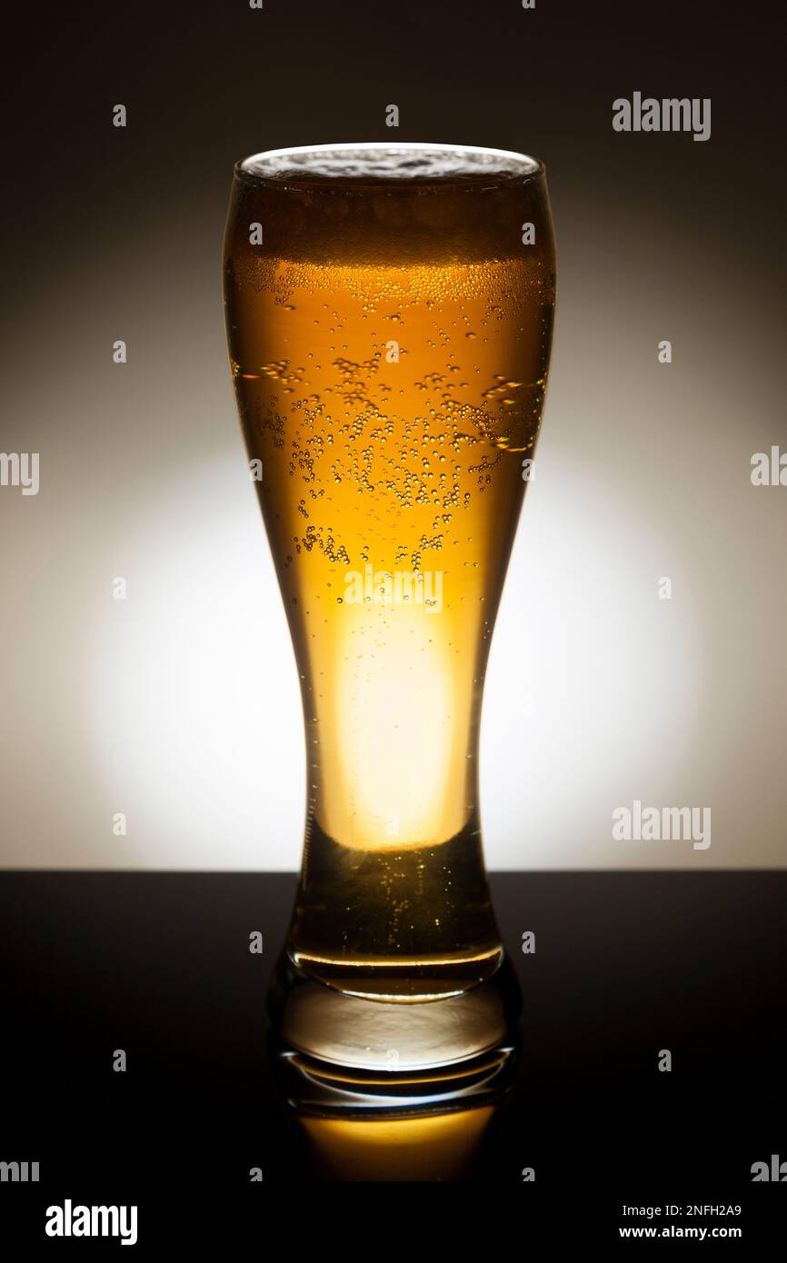 Lager beer in a backlit glass Stock Photo - Alamy