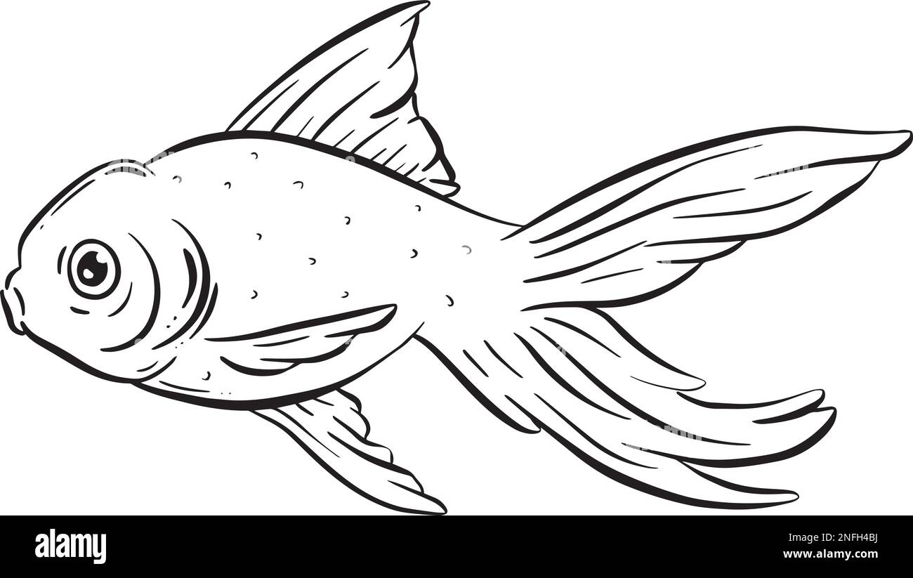 Outline of a fish clipart hi-res stock photography and images - Alamy