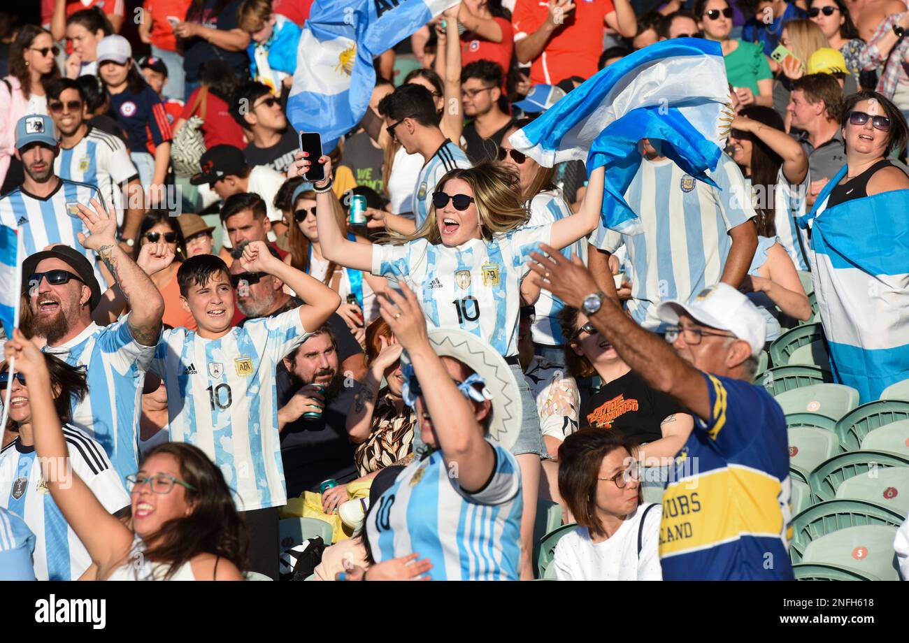 New zealand football fans hi-res stock photography and images - Alamy